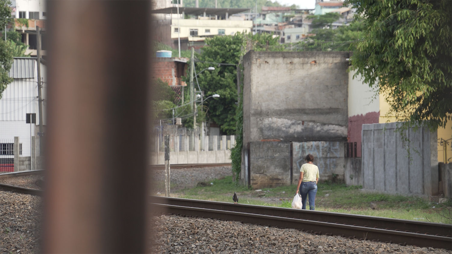 Bulha - Primeiro Plano